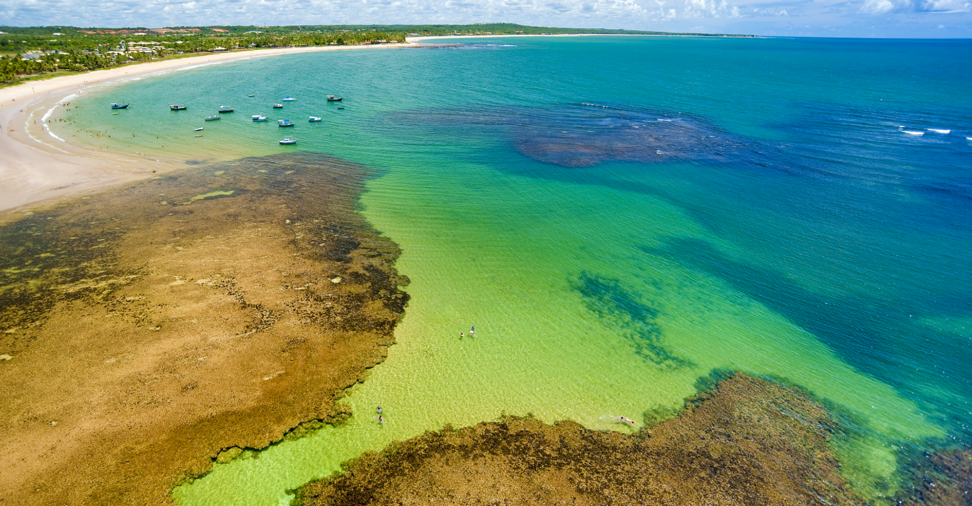 Passeio de Lancha na Piscina Natural de Itacimirim | Tivoli Ecoresort ...